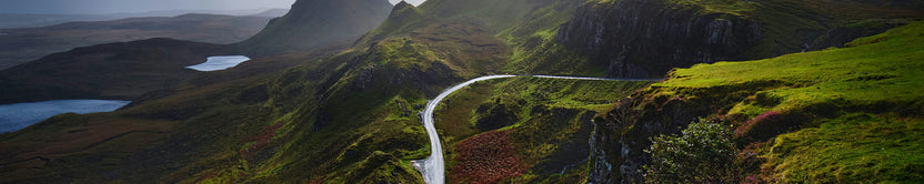 New Arrivals | SWIMS